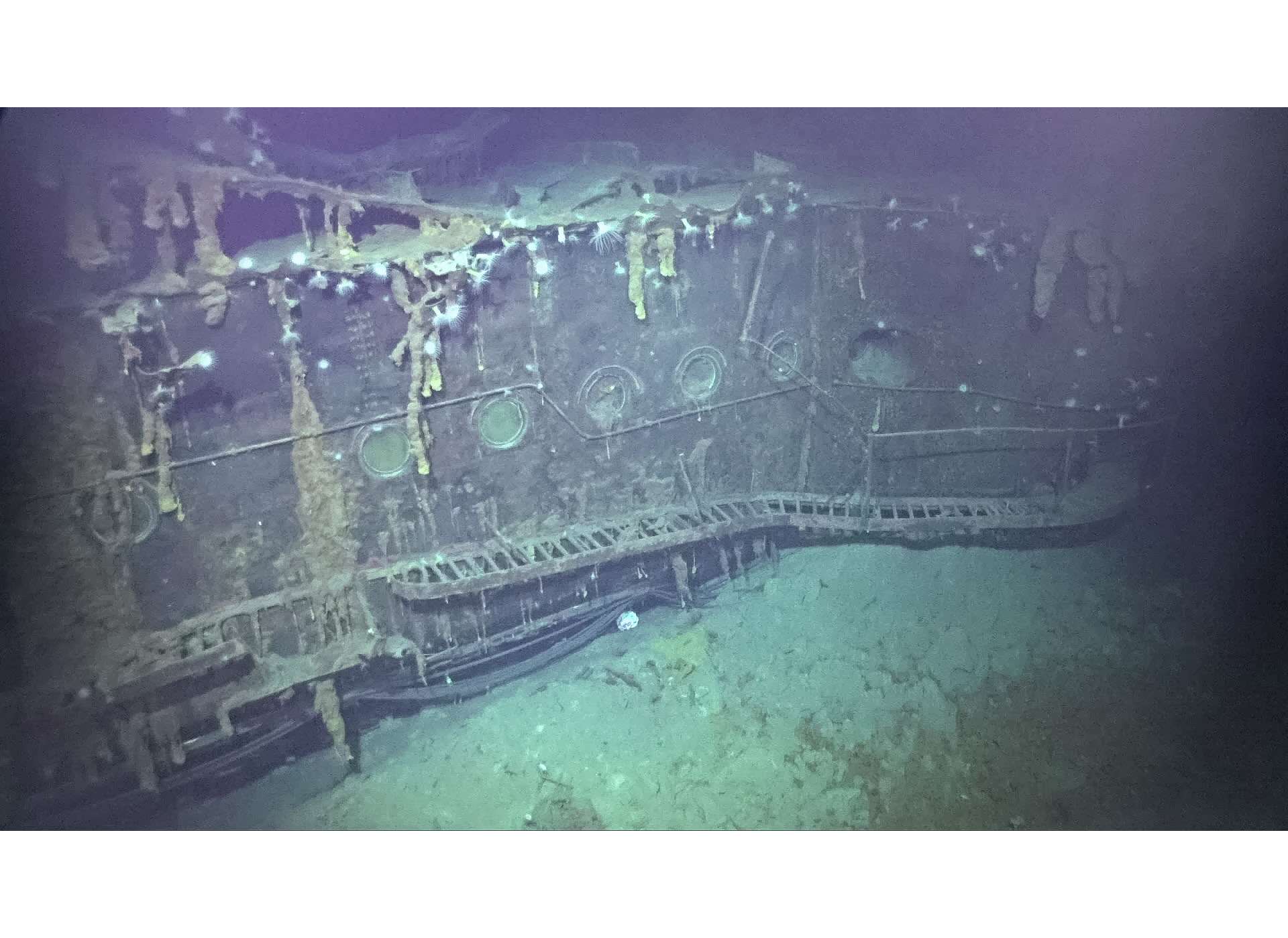 First Strike At Midway Attacking And Discovering Ijn Kaga The National Wwii Museum New Orleans